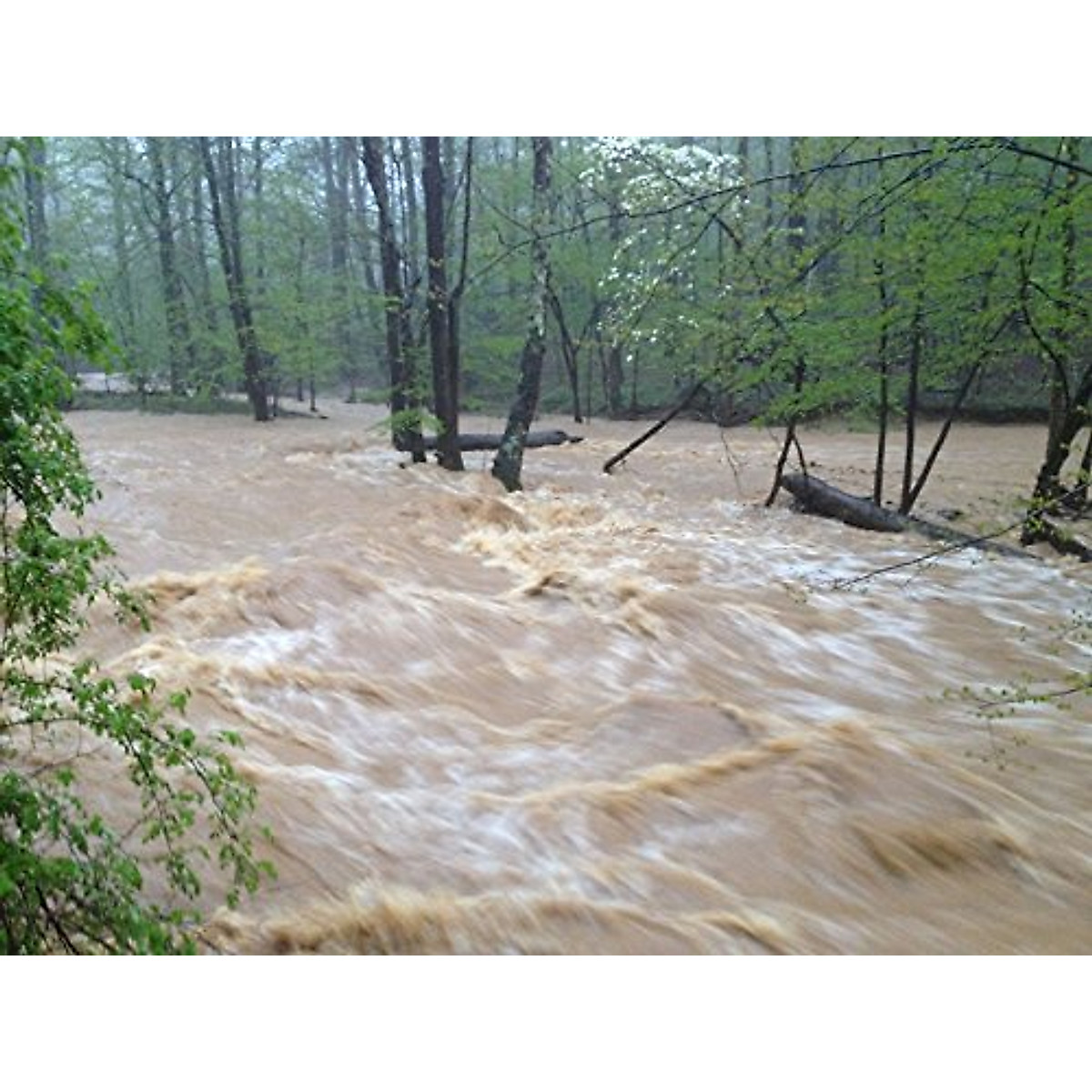 Goldn Gold Paydirt Eureka Panning Pay Dirt Bag – Gold Prospecting Concentrate