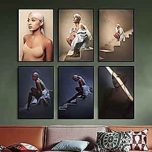 Tiangongzaowu 6 PCS Sweetener Poster Album Art Music Desigh HD Print Wall Home Decor, 16x24 inches, unframed