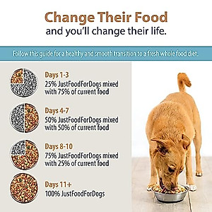 JustFoodForDogs DIY Human Quality Dog Food, Nutrient Blend Base Mix for Dogs - Chicken and White Rice Recipe (7.93oz) -Packaging May Vary