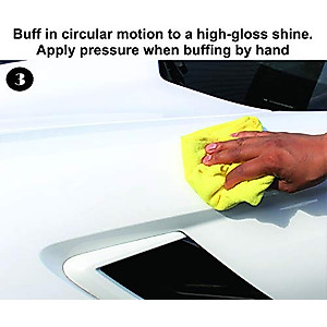 The Treatment 50016 White Carnauba Color Wax, 16 oz, 1 Pack