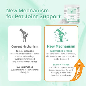 Inoel-6 for Cats and Dogs - Supports Bone Density, Joint and Abnormal Tissue with Pure IP6, Magnesium, Zinc, Manganese, Vitamin K2 (87.50g) (Inoel-6)