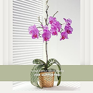 30 Pcs 15.6 Inch Acrylic Plant Stakes Garden Stakes Clear Orchid Stakes Clear Plant Sticks Potted Plant Support Stakes for Supporting Vines Grow Upright