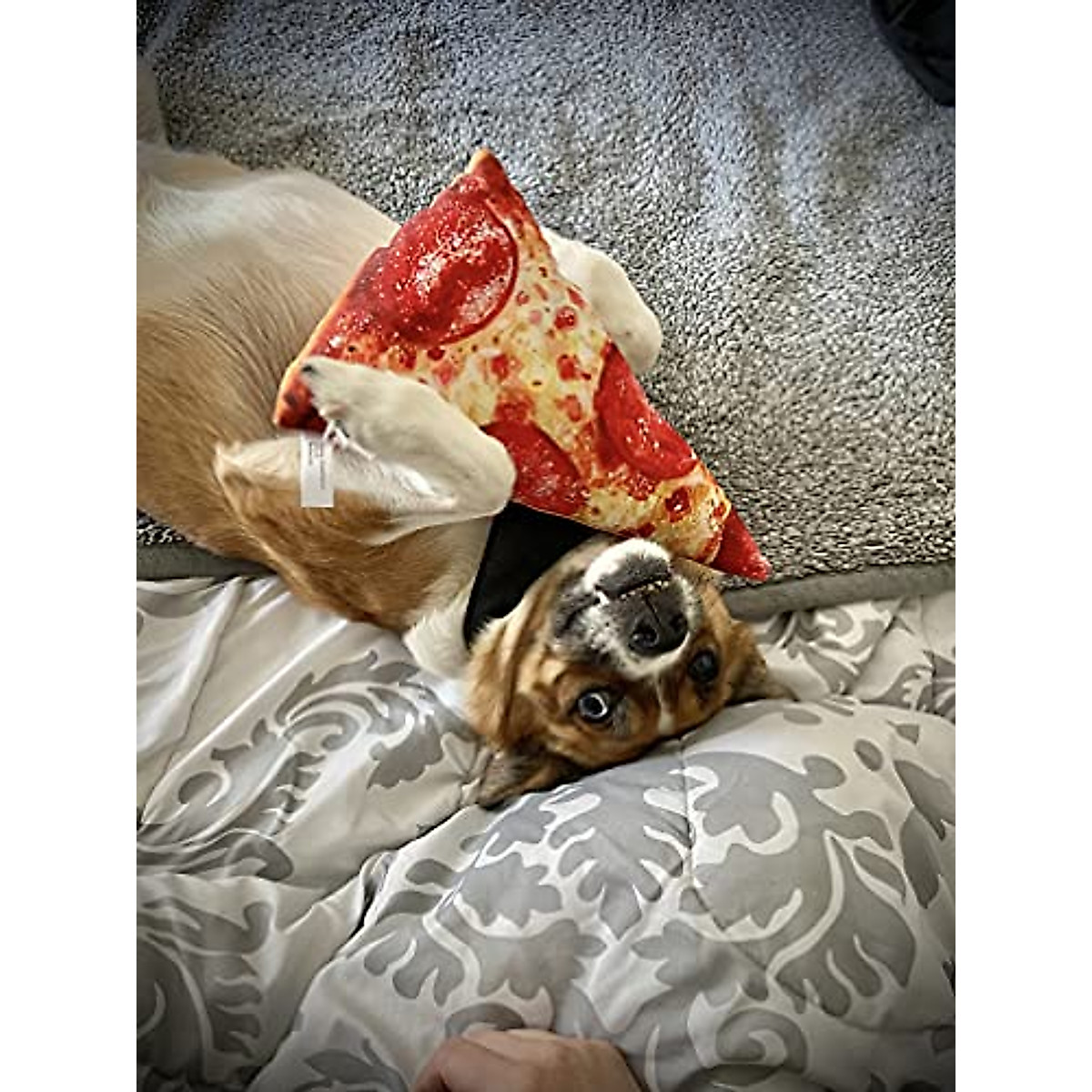 Doggijuana | Juananip™ Refill | Premium Organic Ground Catnip for Dogs | All Natural | Grown in The USA (Juananip Pack of 1)