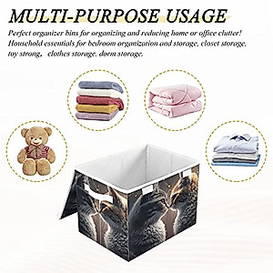 Vnurnrn Collapsible Storage Bin with Lid (Romantic Cats), Foldable Storage Boxes Cube with Lid for Clothes Toys 16.5×12.6×11.8 Inch