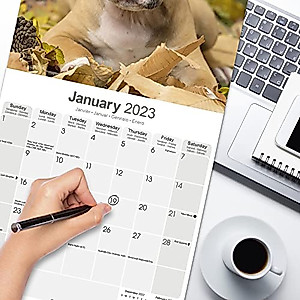 American Staffordshire Terrier Calendar - Dog Breed Calendars - 2022 - 2023 wall calendars - 16 Month by Avonside