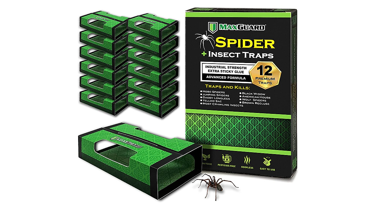 MaxGuard Spider & Insect Traps - 12 Non-Toxic Glue Traps