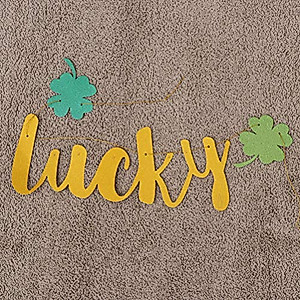 PRETYZOOM 2pcs St. Patricks Day Banners Shamrock Clover Banner Lucky in Love Irish Shamrock Banners Garland St. Patricks Day Decorations for St. Patricks Day Party Use