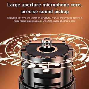 Portable Karaoke Machine, Reverb Sound Function Voice Changing Effects Portable Speaker Multifunction for Party for KTV (#1)