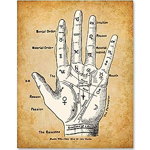 Palm Reading Divination Chart - Classic Fortune Teller Decor, Chiromancy Wall Art, Gift for Oddity Palm Readers, Palmistry and Astrology Fans, 11x14 Unframed Art Print Poster