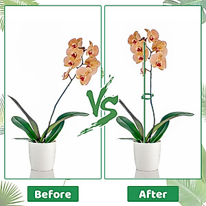 Plant Stakes, 28 Pcs Plant Support Sticks Adjustable Length with 28 Clips and 14 Links for Indoor Outdoor Garden Potted Rose Tomato Vegetables-16 & 12inch