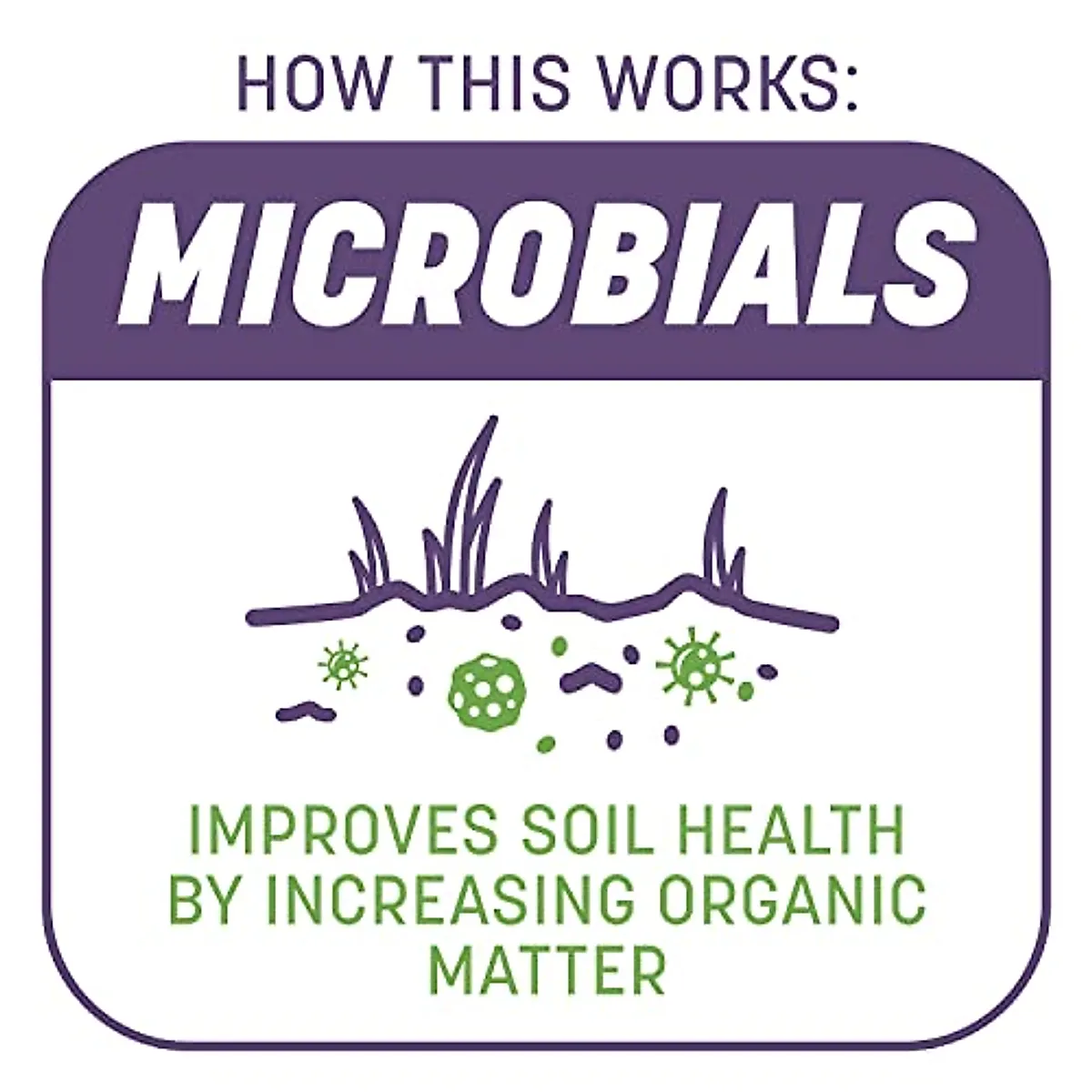 Pennington Smart Patch Dense Shade Mix Jug 5 lb