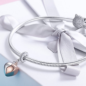 FOREVER QUEEN I Love You Charm Key to My Heart Dangle Charm 925 Silver Open Close Angel Wings Pendant Charm fit Bracelet Necklace Valentine's Day Xmas Gift BJ09086 (Key to My Heart Dangle Charm)