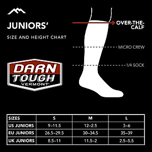 Darn Tough Juniors RFL Jr. OTC Ultra-Lightweight Sock (Style 3034) - Black, Large
