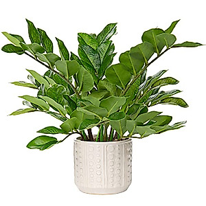 Briful Faux Plants Indoor 17" Artificial ZZ Plants in Ceramic Pot Fake Potted Zamioculcas Silk Plants for Home Living Room Office Decor Bedroom Aesthetic