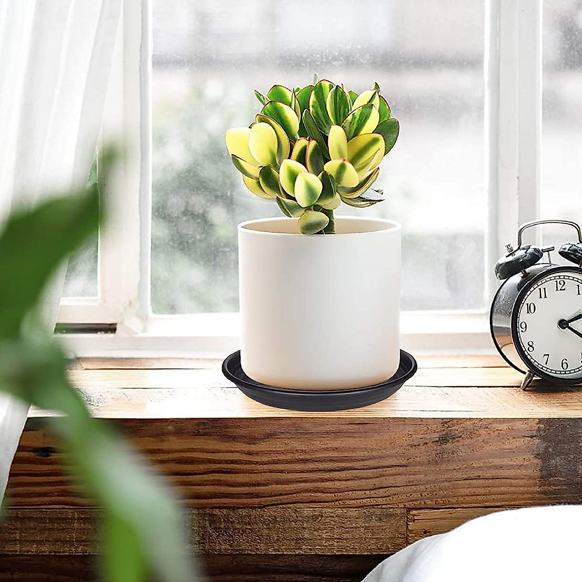 SAUCERHOME 5 Packs Plant Saucer 6 8 10 12 14 16 19 22 26 Inch Plastic Pot Tray Flower Planter Saucers and Drip Trays for Indoors Outdoors, Thick Heavy Sturdy Plant Plate Water Catcher (6 Inch Black)