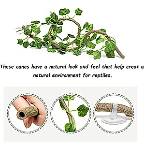 Hamiledyi Large Reptile Hideout Wood Bridge Ladder Hiding Hut Bearded Dragon Hammock Lizards Habitat Decor Climbing Accessories Tortoise Hide Cave Toy for Gecko Snake Chameleon Gecko Iguana