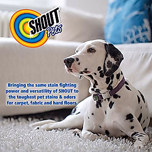 Shout for Pets Turbo Oxy Urine Remover | Carpet Cleaner and Pet Odor Eliminator in Fresh Scent, 32 Oz | Fast, Easy, and Effective for Pet Odors in Homes