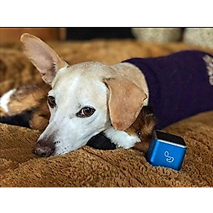 Pet Tunes Bluetooth Speaker Preloaded with Calming Canine Music