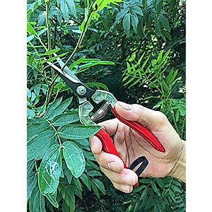 gonicc Professional Micro-Tip Pruning Snip (GPPS-1008), Small Garden Hand Pruner & shears For Arranging Flowers, Trimming Plants & Hydroponic Herbs, And Harvesting Fruits & Vegetables.