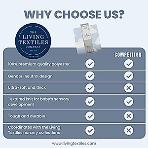 Living Textiles Blue Clouds Chenille Soft Baby Blanket Reversible Premium Cozy Fabric for Best Comfort - for Infant,Toddler,Newborn,Nursery,Boy,Unisex,Throw,Crib,Stroller,Gift, Blue Clouds 40x30