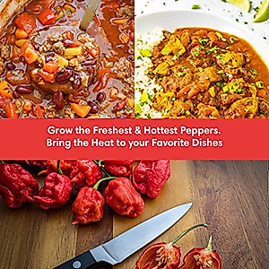 Carolina Reaper Ghost Pepper Growing Kit - Outdoor Garden Vegetable Seed Starter Kit - Hot Pepper Growing Kit - All in One Pepper Seed Plant Growing Kit - Gift for Gardeners