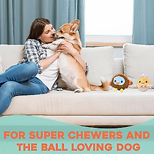Flourish Pets 2 in 1 Multi-Layer Chew Toy for Active Dogs | Non-Toxic BPA Free Double Stitched Soft Fabric Exterior Dog Toys | Long-Lasting Dog Plush Toys – Turkey + Pumpkin (4”)