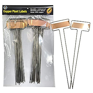Owlery Copper Plate Metal Plant Labels Garden Stake Tags Reusable Planting Gardening Markers (10 x 2.6 inch)