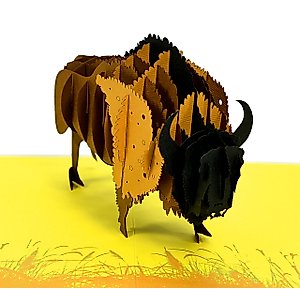 CUTPOPUP Birthday Card Pop Up, Fathers Day Card, 3D Greeting Card (Bison)