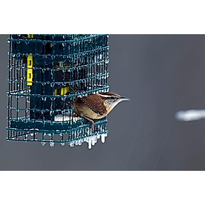Squirrel Buster Suet Squirrel-proof Suet Bird Feeder w/2 Suet Cake Trays, 2 Crumb Ports, Mess-free Suet Loading,Green