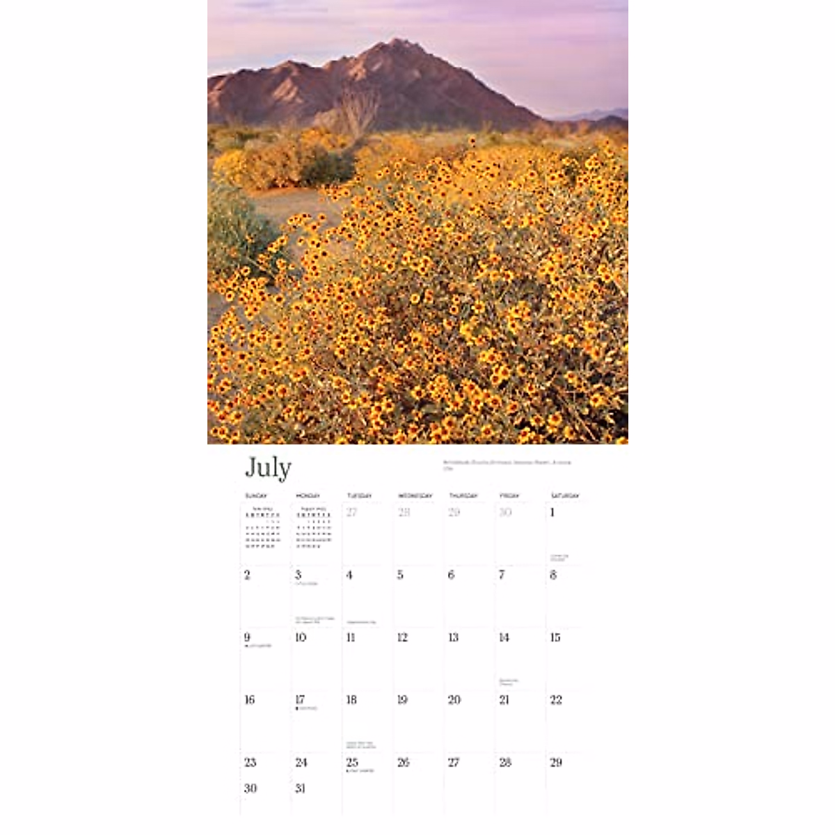 Audubon Desert Wildflowers Wall Calendar 2023: A Visual Delight for Nature Lovers and Gardeners Alike