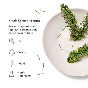 Madison Reed ColorSolve Frizz Away Shampoo, Anti-Frizz Shampoo For Unruly Hair, Tame And Smooth Wavy, Curly Or Coily Hair, Sulfate-Free, Protects Color From Fading - 8 Fl Oz (235 Ml)