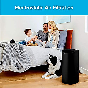 Filtrete F2 Room Air Purifier Filter, True HEPA Premium Allergen, Bacteria, and Virus, 13 in. x 8.2 in., 2-Pack, works with devices: FAP-C02WA-G2, FAP-C03BA-G2, FAP-T03BA-G2 and FAP-SC02N