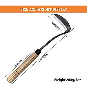SHANFEEK Japanese Weeding Sickle Hoe Gardening Tools 13-Inch Weed Remover Tool High-Carbon Steel One-Piece Molding with Hard Solid Wood Handle(Snake-Necked)