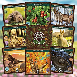 Keystone Deluxe Edition