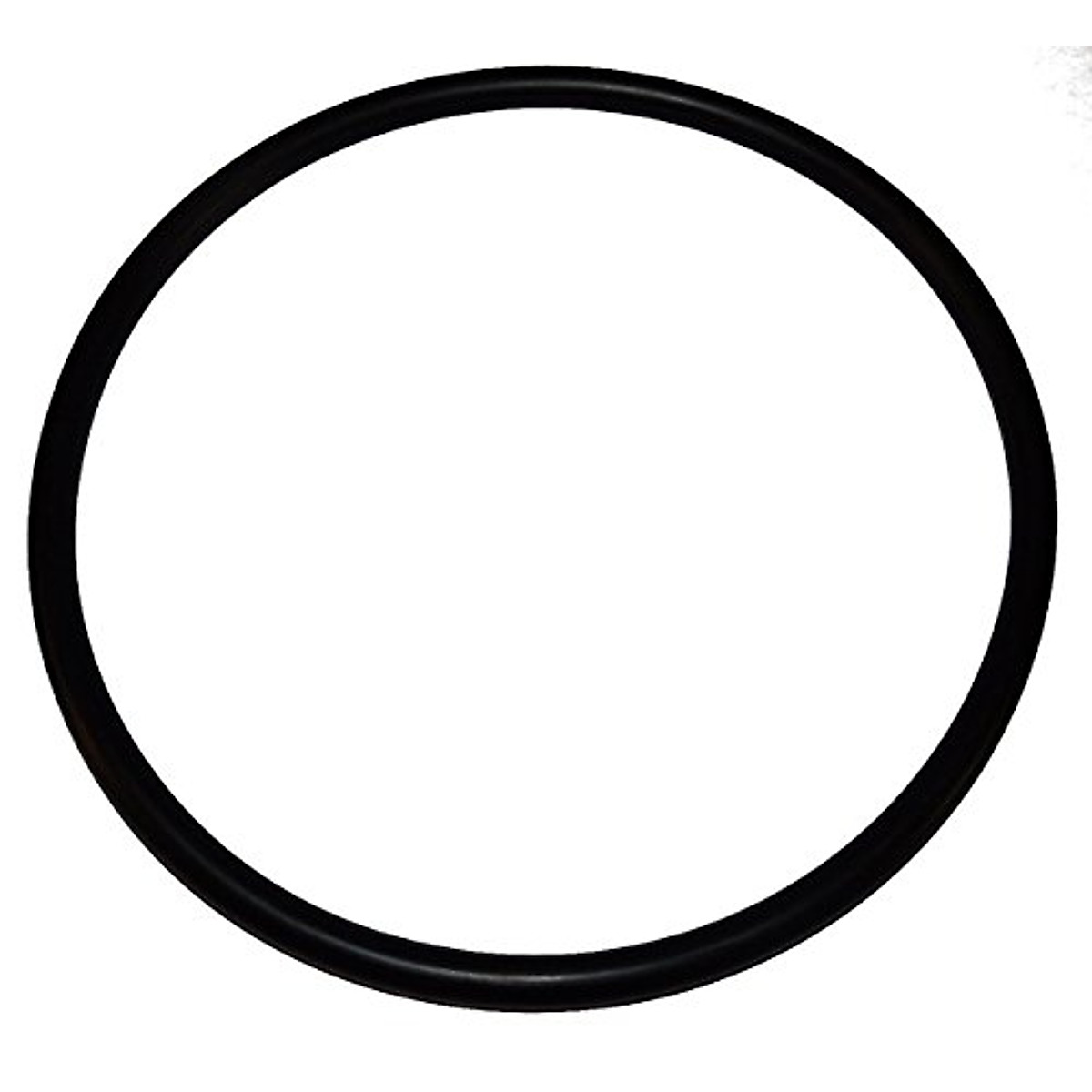 Captain O-Ring - 350013 Lid O-Ring - Compatible with Pentair IntelliFlo, WhisperFlo, Challenger and Pinnacle Pool and Spa Pumps