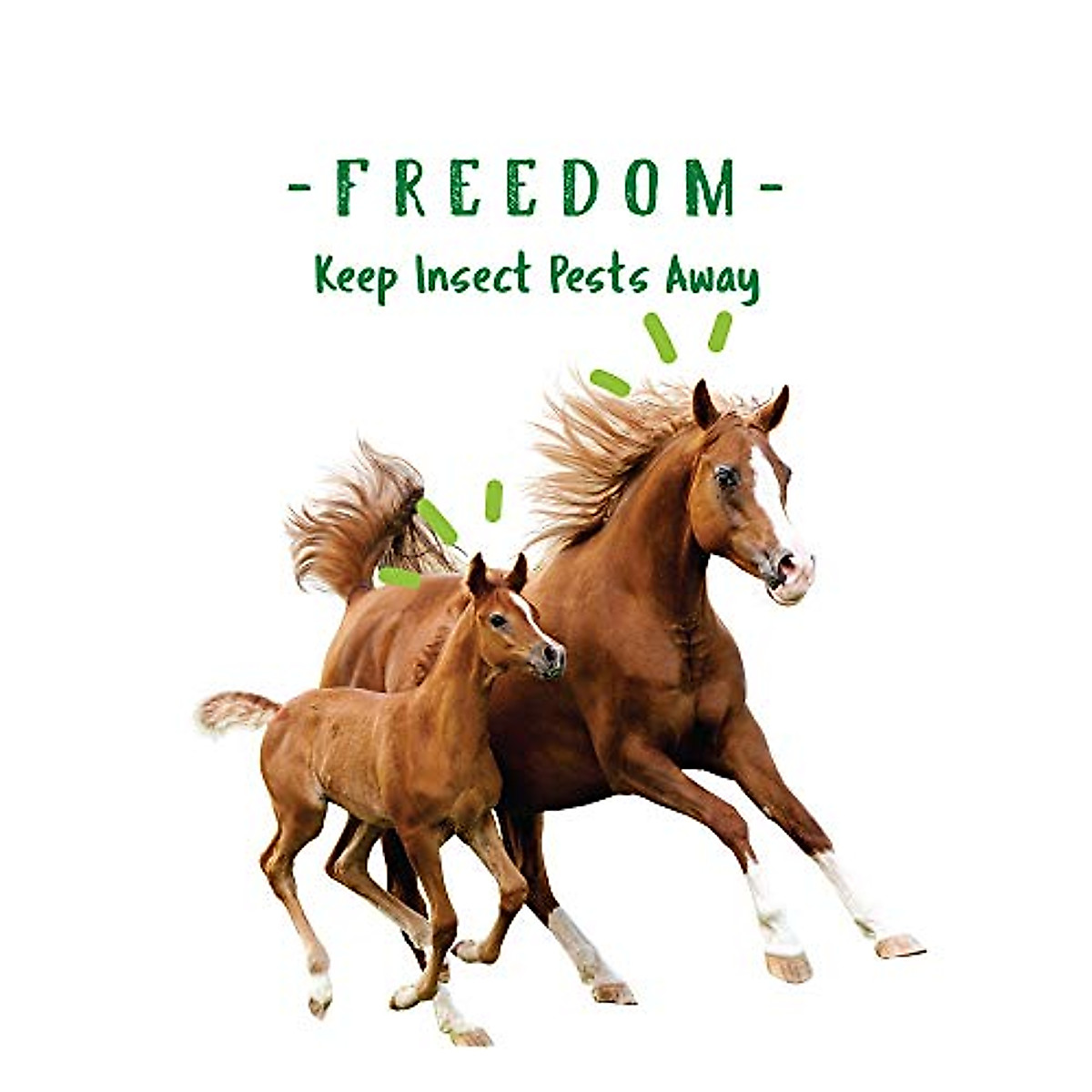 Manna Pro Nature's Force Bug Clear | All Natural Equine Supplement for Insect Control | 2 Pounds