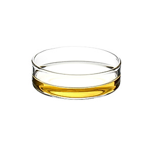 QWORK Glass Petri Dish Petri Plates with Lid, Thicken, 60mm x 18mm, 5 Pack