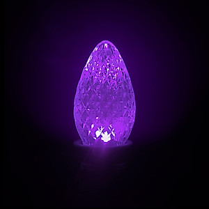 yongzhenlite UL Listed Box of 25 C7 Led Replacement Bulbs,2 SMD LEDs in Each C7 Dimmable Lights Bulb for Outdoor String Lights,Full Waterproof and Break Resistant (Purple Color)