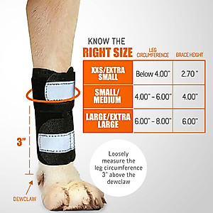 NeoAlly- Front Leg Brace for Dogs & Cats, Dog Leg Brace with Metal Spring Inserts, Dog Leg Sleeve for Carpal Support, Dog Leg Sleeve with Reflective Straps, L/XL, Pair
