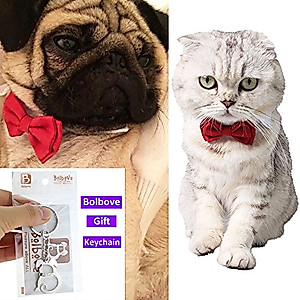 Bolbove Adjustable Formal Pet Bowtie Collar Neck Tie for Dogs & Cats (Small, Red)