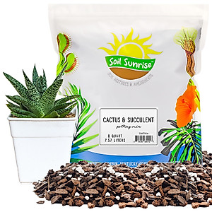 Cactus and Succulent Potting Mix (8 Quarts), Special Blend-Fast Draining and Desert-Style Gritty