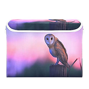 Kigai Storage Basket Cute Owl Storage Boxes with Lids and Handle, Large Storage Cube Bin Collapsible for Shelves Closet Bedroom Living Room, 16.5x12.6x11.8 In