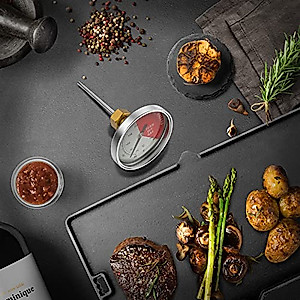 Blackhoso 2.75-Inch Deep Fryer Thermometer Replacement for Bayou 2.5, 4, 9 Gallon Fryers, King Kooker and VIVOHOME Fryers Temperature Gauge -Degree Accurate Exact