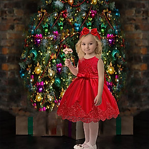 Flower Girls Dresses Baby First Baptism Toddler Special Occasion Birthday Evening Gown Cute Dress(Red,18M)