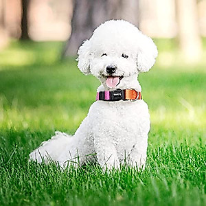 Roses&Poetry Reflective Dog Collar with Gradient Mistyrose,Adjustable Durable Pet Collars for Small Medium Large Dogs （Mistyrose-XS