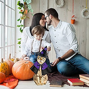 Chichome Cat Halloween Costumes Halloween Pet Wizard Costume for Small Dog Cat Dog Cat Wizard Costume for Cosplay Halloween Party Halloween Christmas Pet Costume Gift for Small Dogs Cats