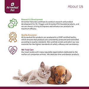 Arrowleaf Pet Vision Care by NaturPet Inc for Cats and Dogs | with Bilberry | Eye Support | 100mL Herbal Tincture