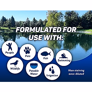 Crystal Blue Lake and Pond Dye - 1 Gallon - Royal Blue Color Treats up to 1 Acre - Clean, Clear & Crystal Blue Water - Environmentally Friendly Pond Dye