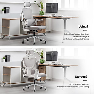 Office Chair Height-adjustable Ergonomic Desk Chair with Self-adaptive Lumbar Support Breathable Mesh Computer Chair High Back Swivel Task Chair with Adjustable Headrest and Flip-up Armrests - Grey