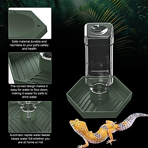 Reptile Water Dispenser-7.5 oz(250ml) Bearded Dragon Water Bowl - Small Water Dish for Tortoise - Bowls for Reptiles & Amphibians (S)